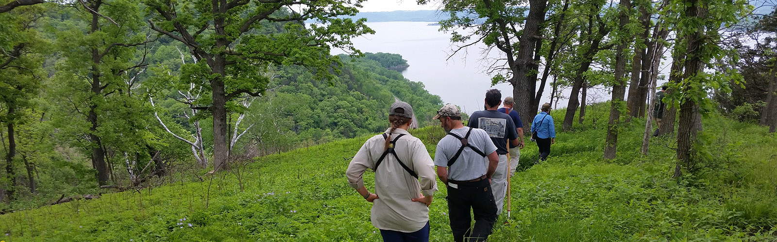 Plants and Natural Communities Working Group | Wisconsin Initiative on ...