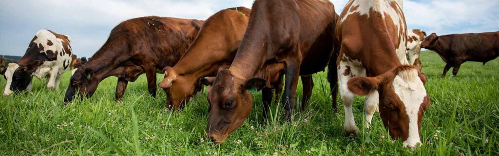 2021 Assessment Report: Wisconsin's Changing Climate | Wisconsin ...